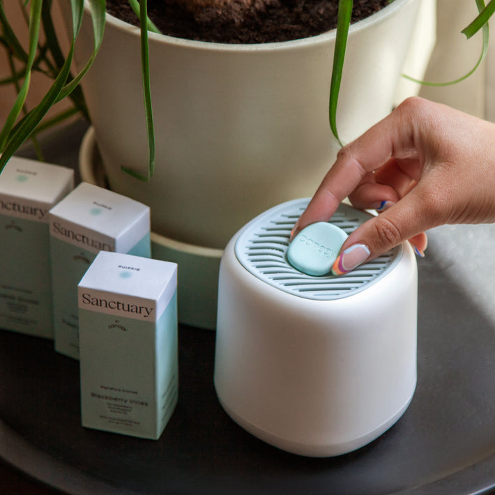 Canopy Diffuser | Aroma Diffuser - Essential Oil Diffuser