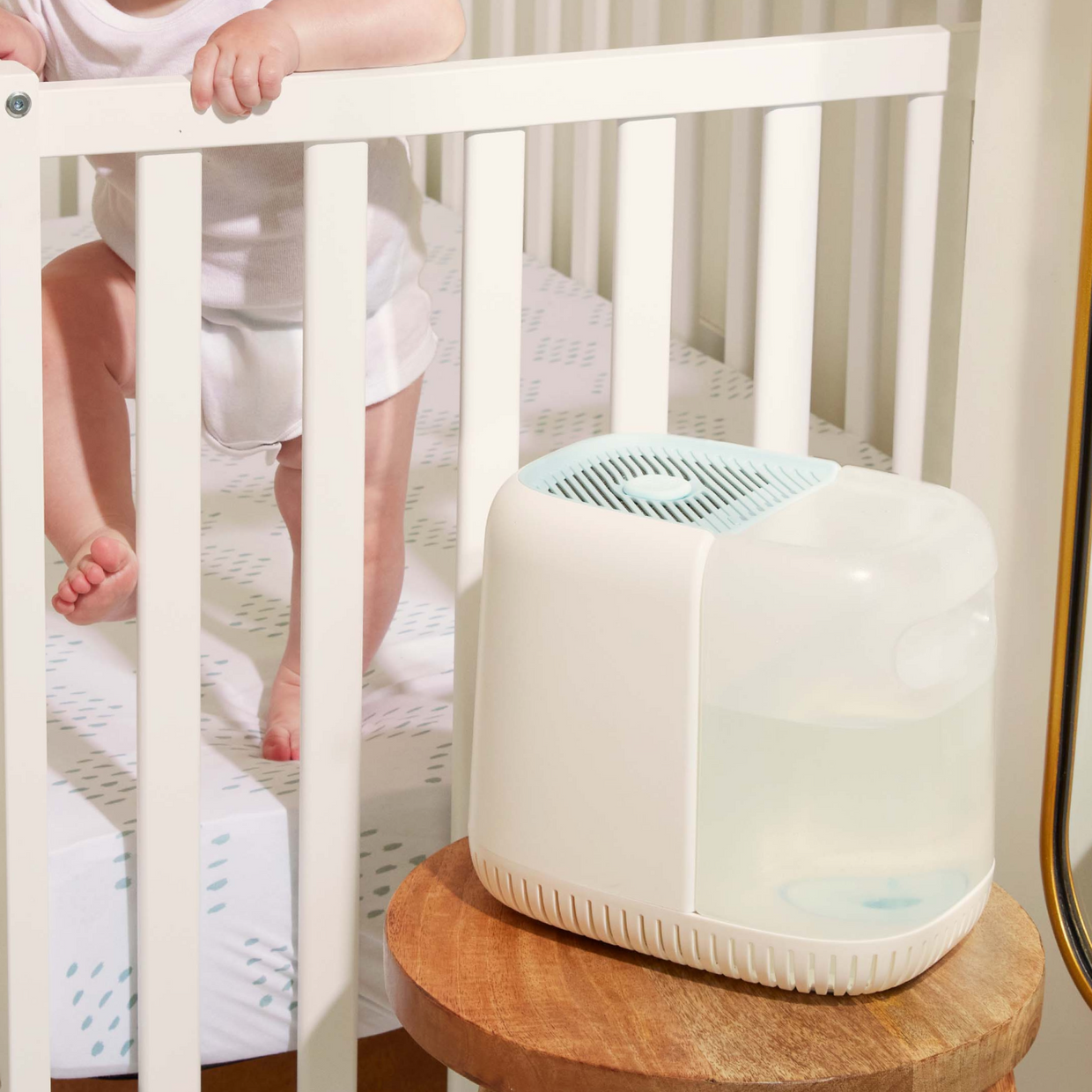 Canopy Humidifier | Best Humidifier for Dry Skin - Smart Humidifier