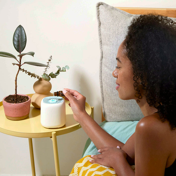 Canopy Diffuser Bundle | Aroma Diffuser with Essential Oil Aromas