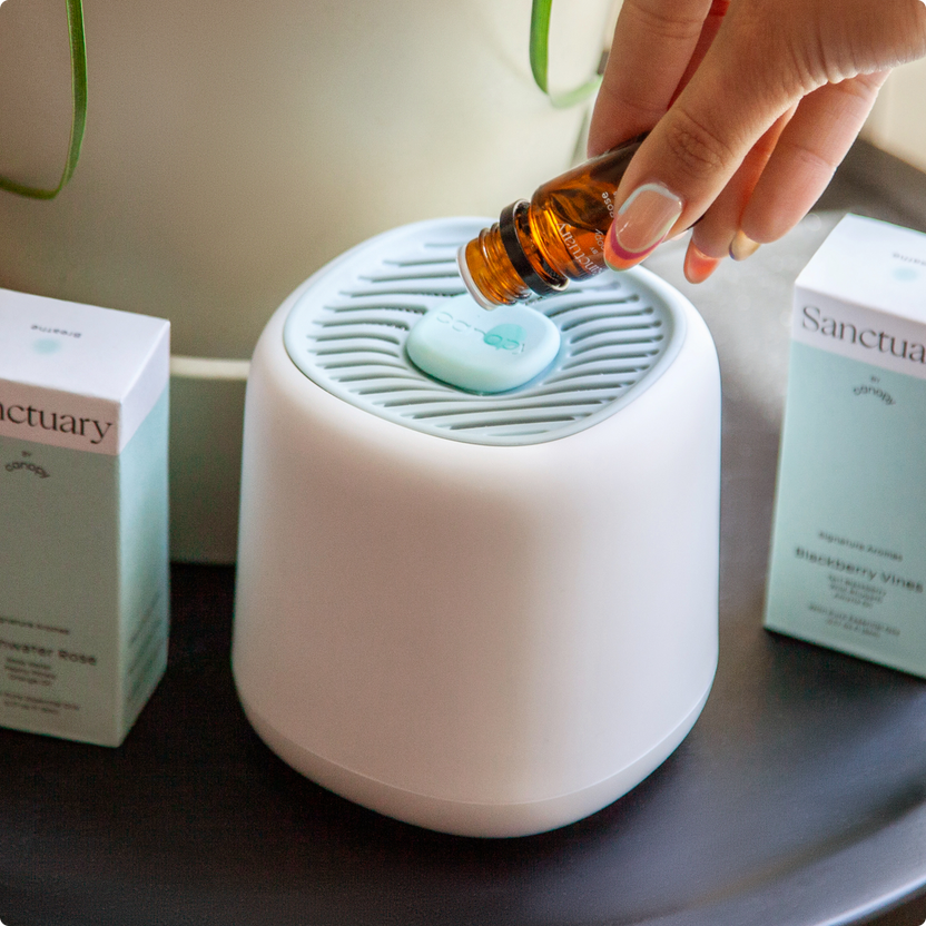 Canopy Aroma Stone 6-Pack | Essential Oil Aromas for Canopy Diffuser