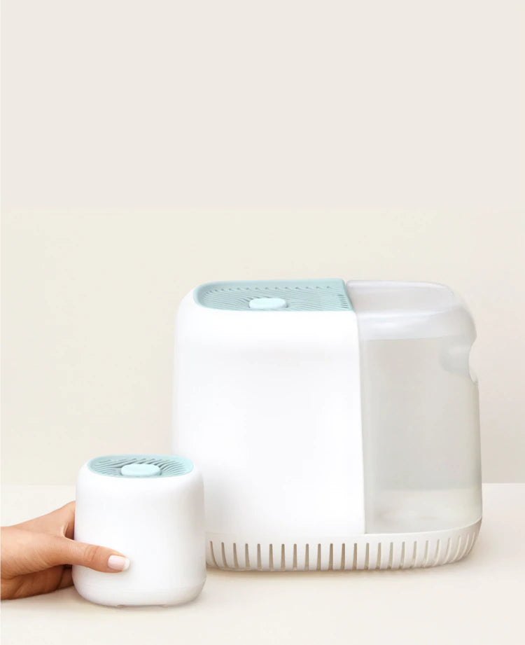 Canopy Gift Card | Gift Card for Humidifier or Diffuser