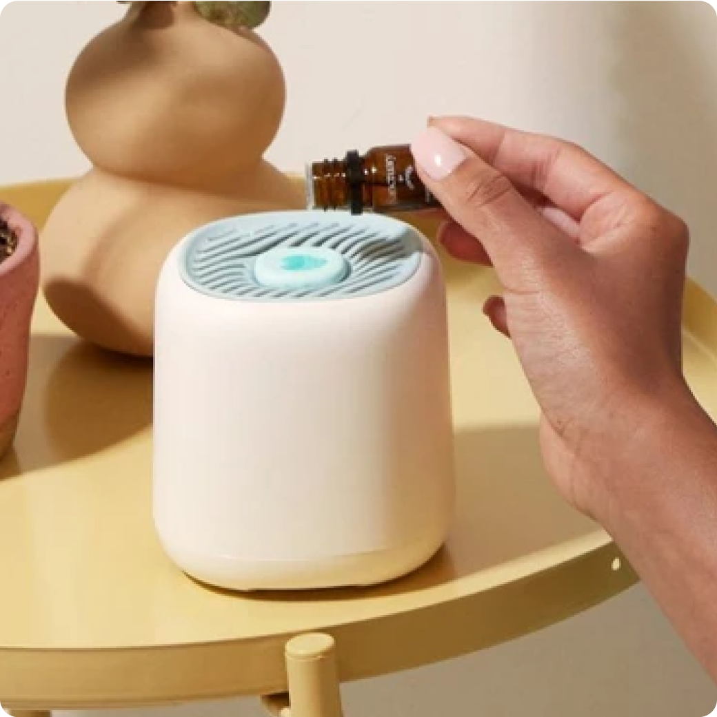 Aroma Puck 6-Pack