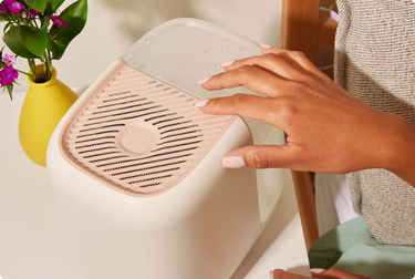 Prose X Canopy | Humidifier, Diffuser, and Aroma Kit - Canopy